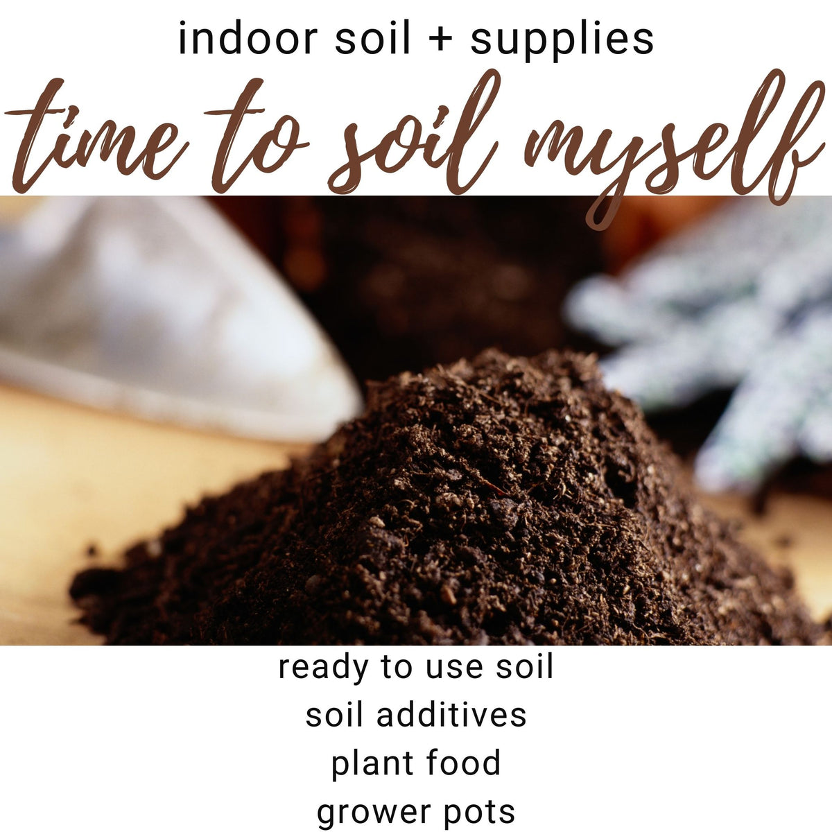 Indoor Soils and Repotting – Family Flowers Inc