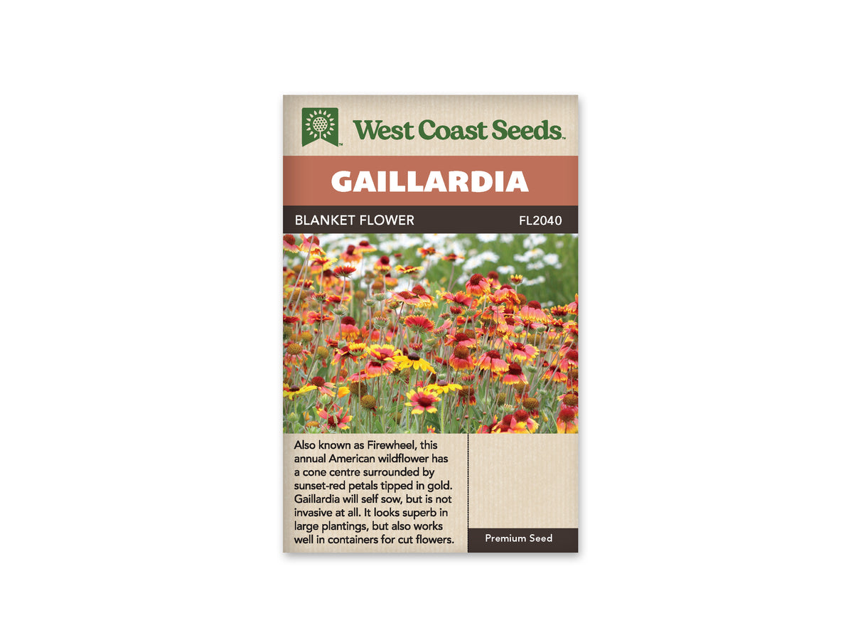 Gaillardia Seeds – Family Flowers Inc