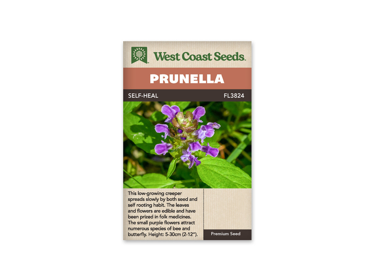 Prunella Seeds – Family Flowers Inc