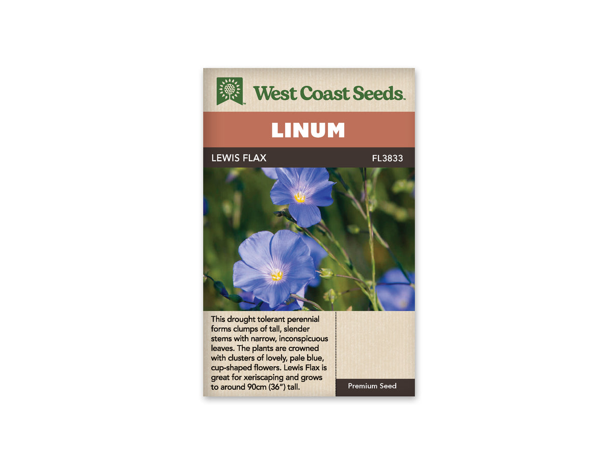 Linum Seeds – Family Flowers Inc