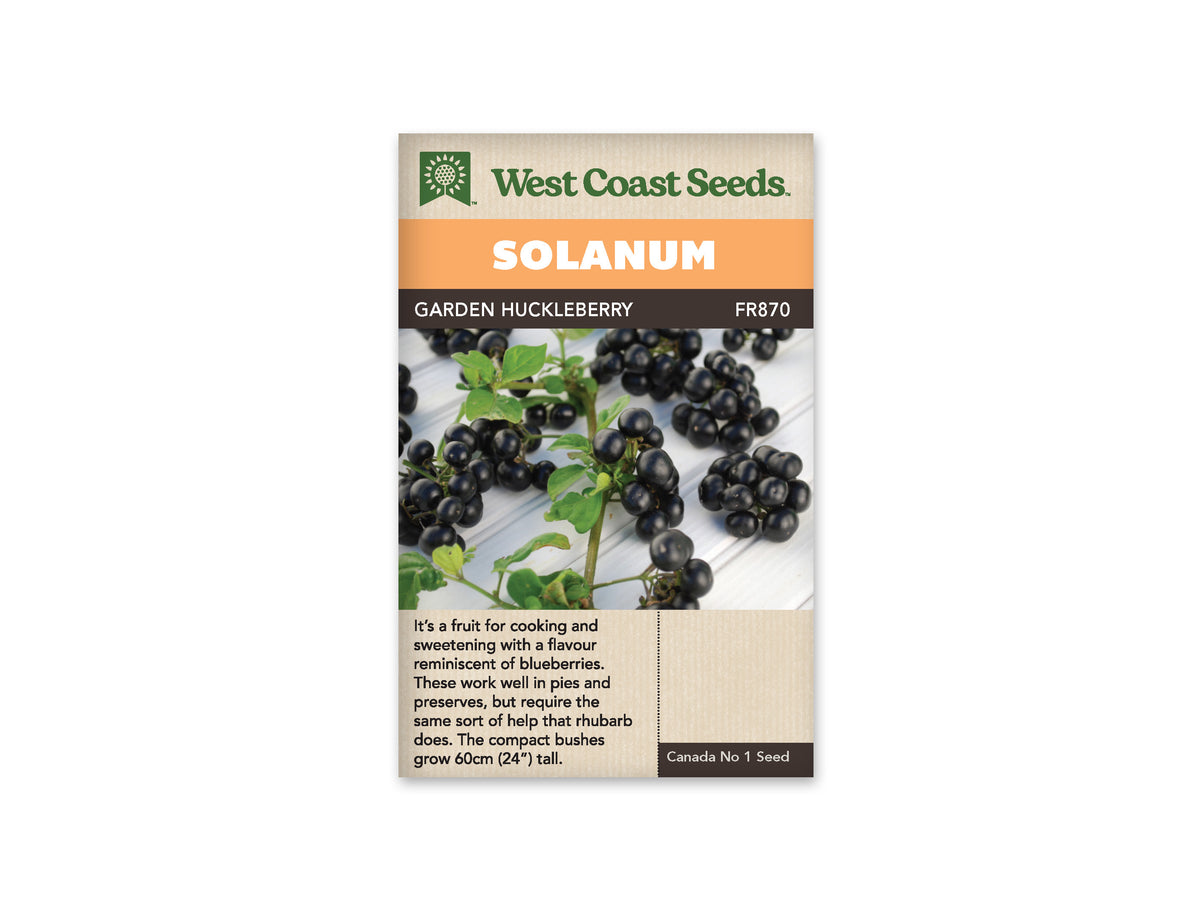 Solanum Seeds – Family Flowers Inc