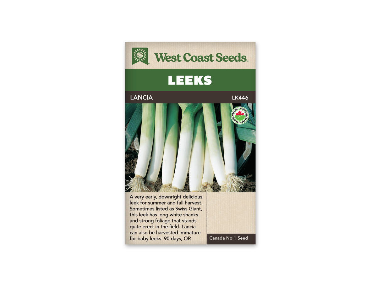 Leek Seeds – Family Flowers Inc