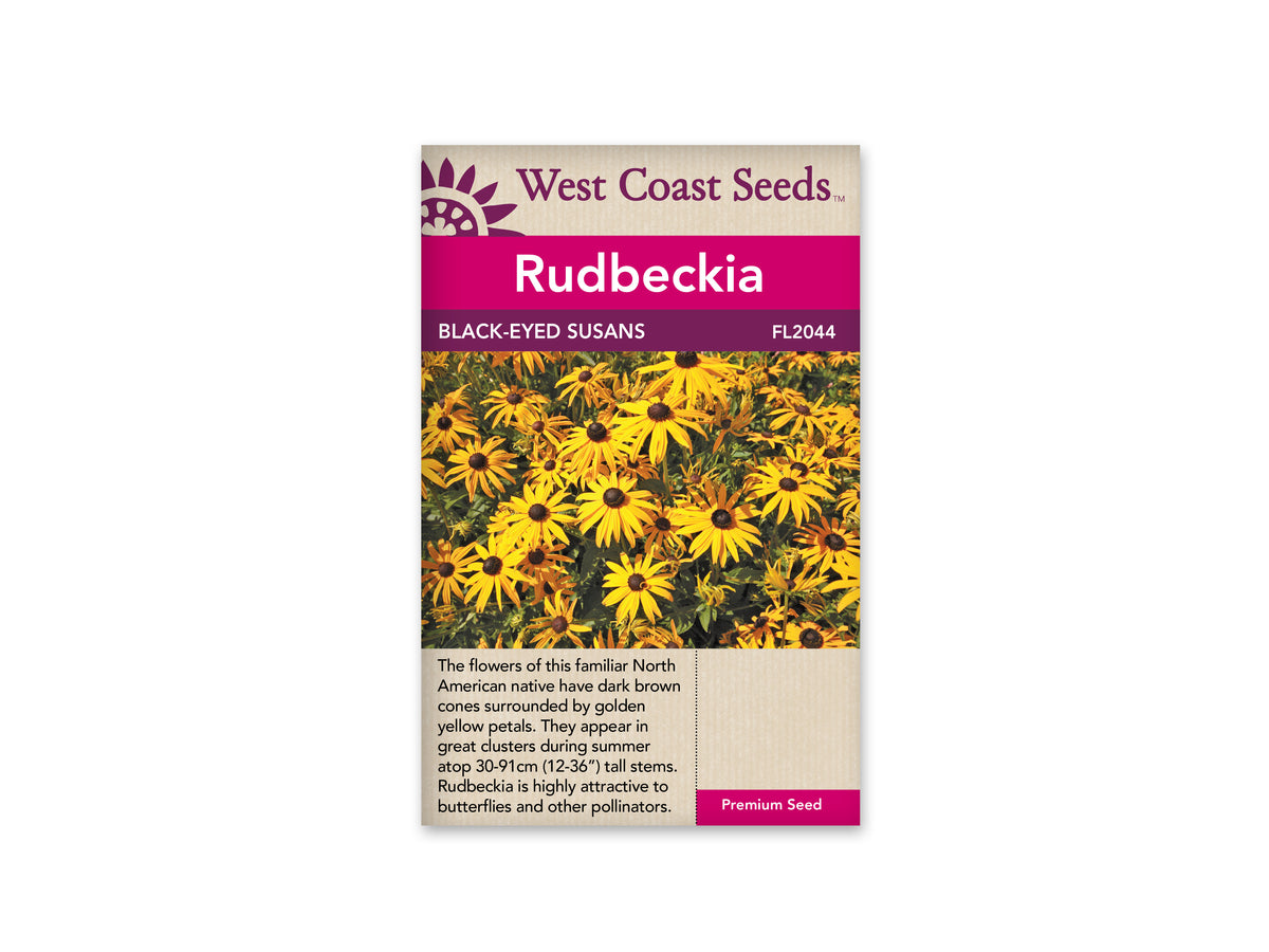 Rudbeckia Seeds – Family Flowers Inc