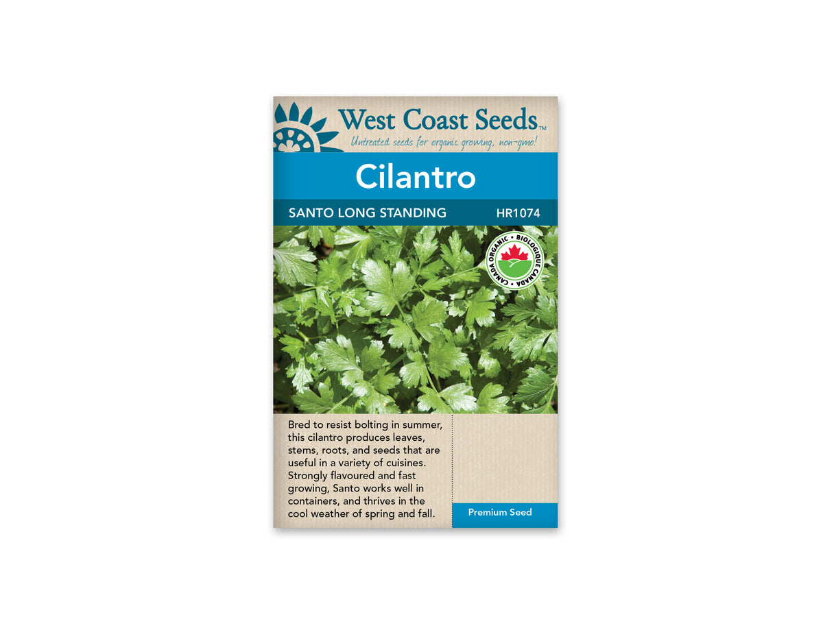 Coriander/Cilantro Seeds – Family Flowers Inc