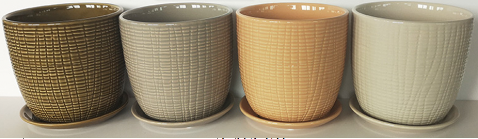 Gator Scale Ceramic Pot – Family Flowers Inc