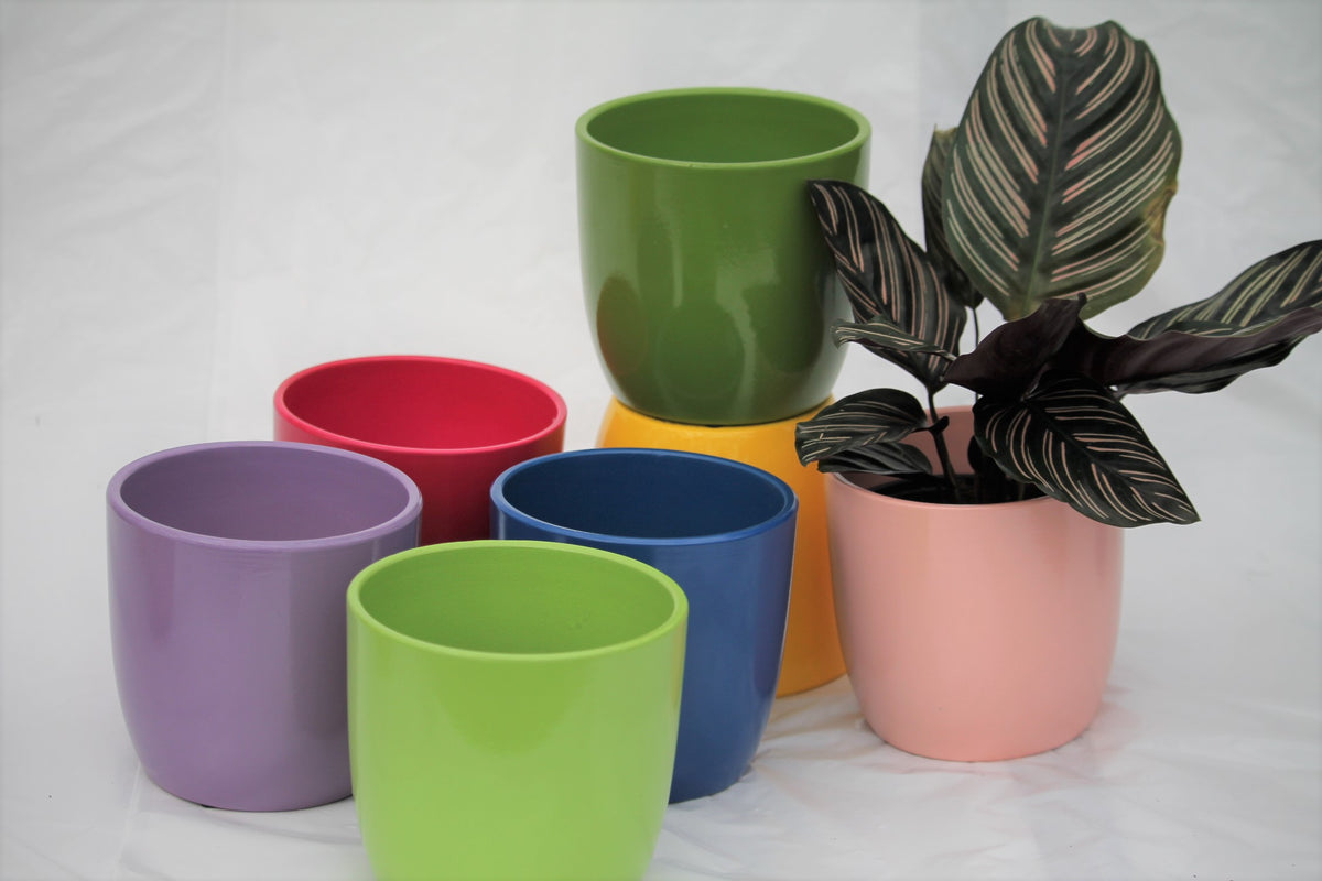 Colour Dolomite Pot – Family Flowers Inc