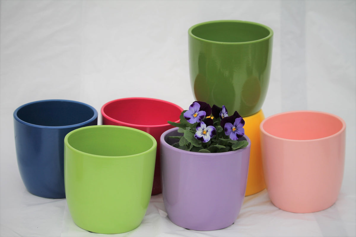 Colour Dolomite Pot – Family Flowers Inc